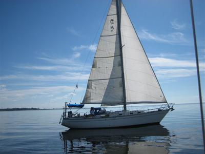Sail insignia | Morgan 38 Sailboat Forum